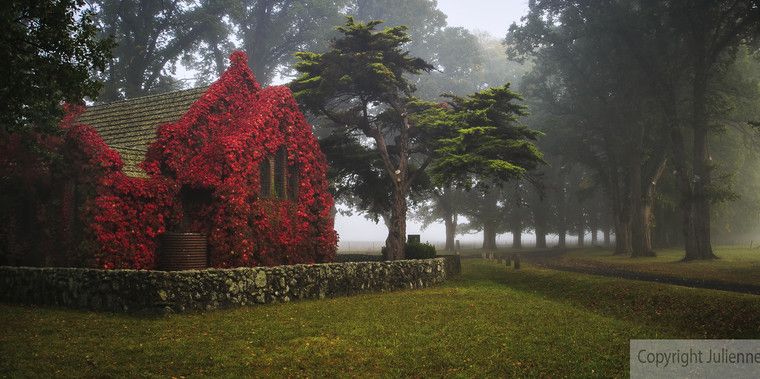 Join the The Red Color In Nature Photo Contest and win Nik Software ...